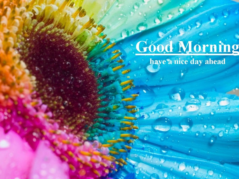 Have A Colorful And Bright Morning - Good Morning Wishes & Images Have A Colorful And Bright Morning - Good Morning Wishes & Images