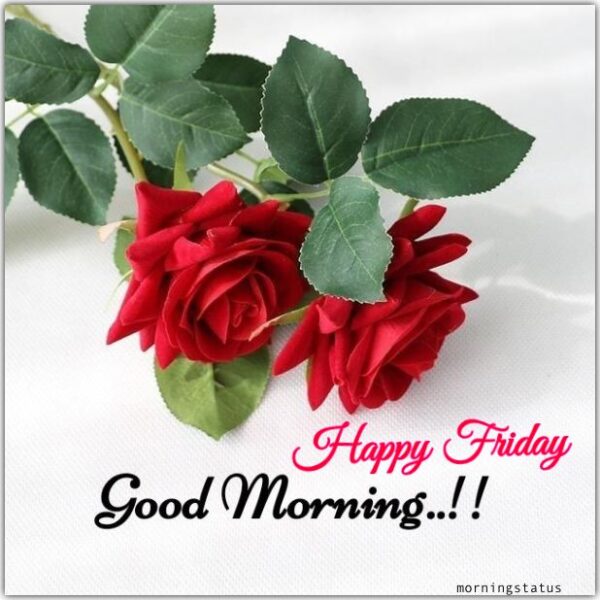 Happy Friday Good Morning - Good Morning Wishes & Images